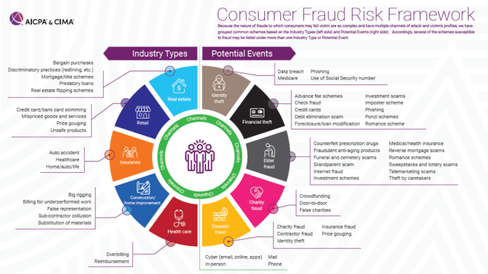 What Fraud Risks Do You Face? | Fraud Risk Framework | Atlanta CPA